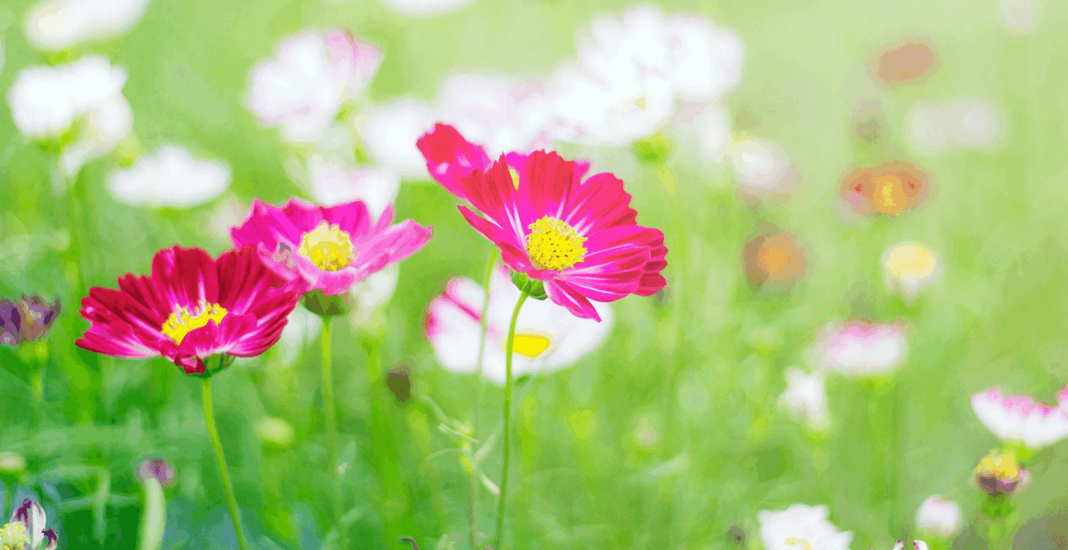 2023 Summer Release | AdvancedMD