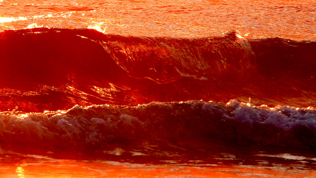 2023 Fall Release | AdvancedMD