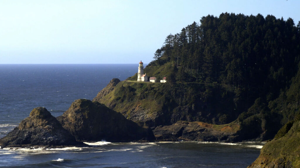 2025 Summer Release – AdvancedMD Software Updates